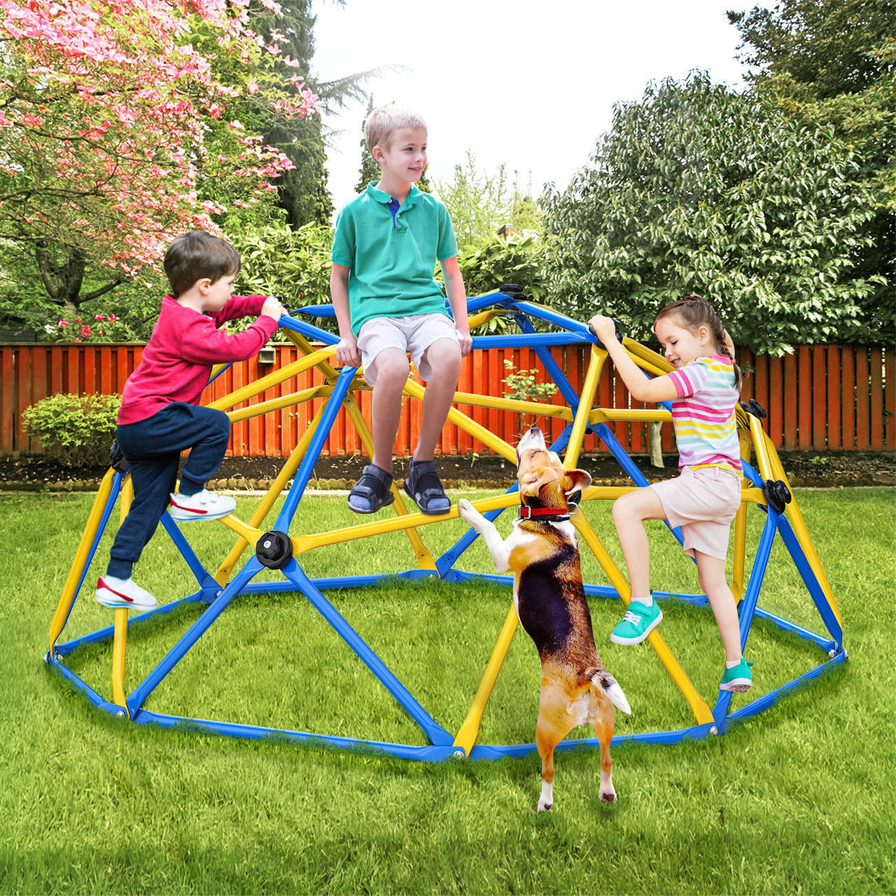 Halcyon Climbing Dome 6FT Jungle Gym Metal Indoor and Outdoor & Reviews ...
