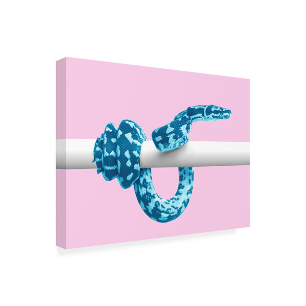 Latitude Run® Sneck 1 by Mark Ashkenazi | Wayfair