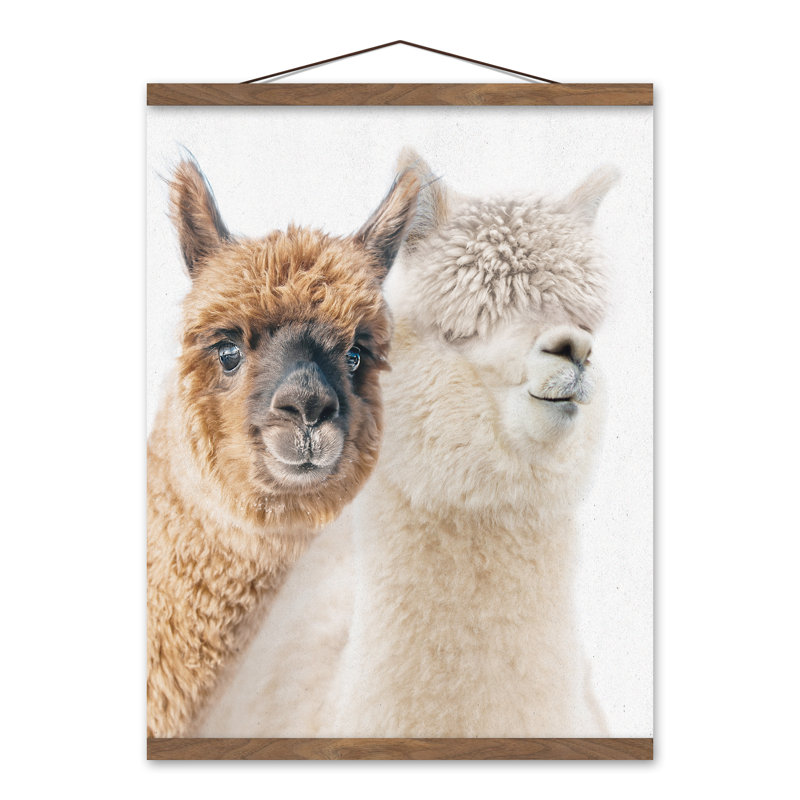 Dakota Fields Llama Friends - Unframed Photograph on Canvas | Wayfair