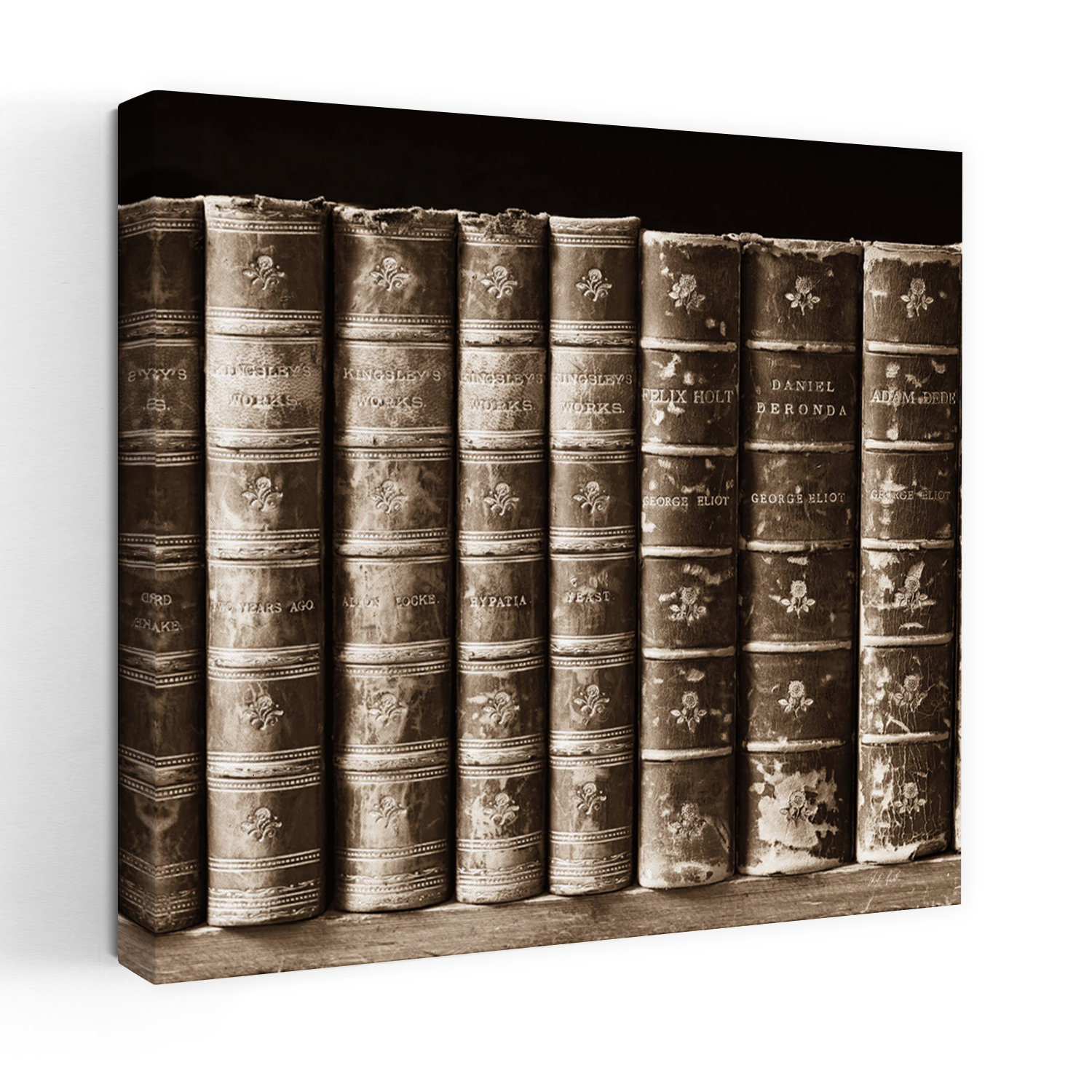 Alcott Hill® Contemporary History Books Iii With Black And White Books ...