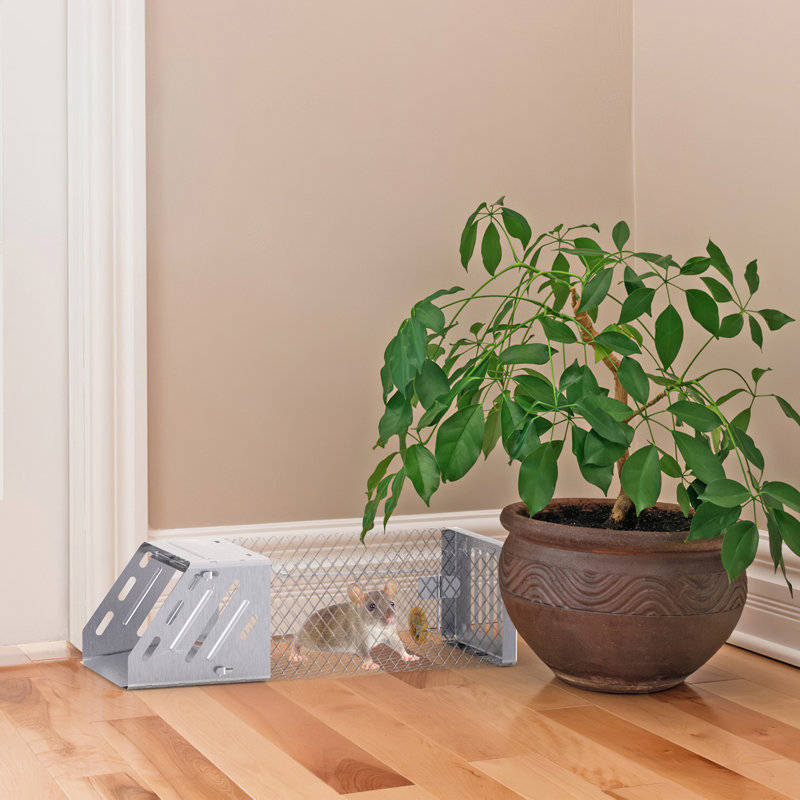 Tucker Murphy Pet™ 14.57x5.71x4.33in Automatic Continuous Rat Trap ...