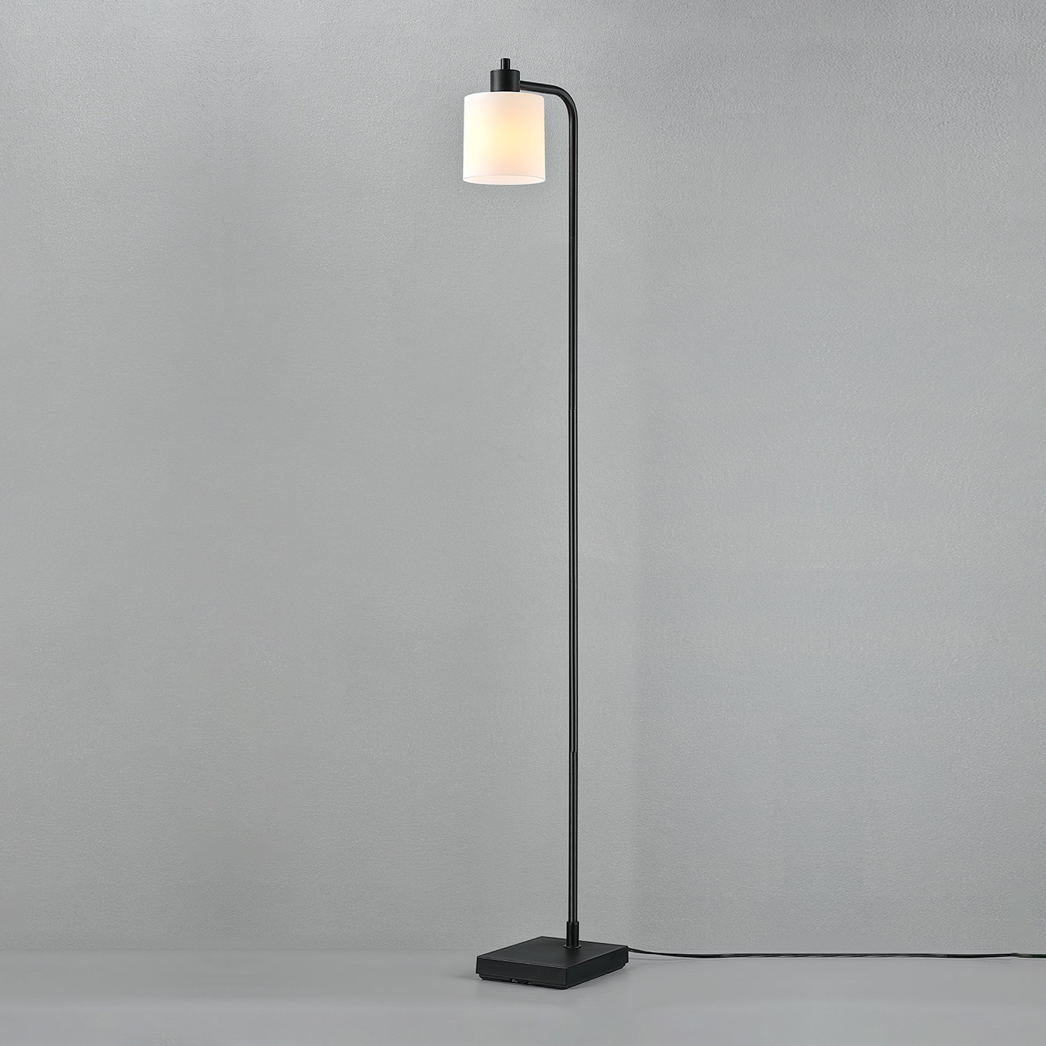Ebern Designs 62 Inch Matte Black Floor Lamp with Plastic Frosted Shade ...