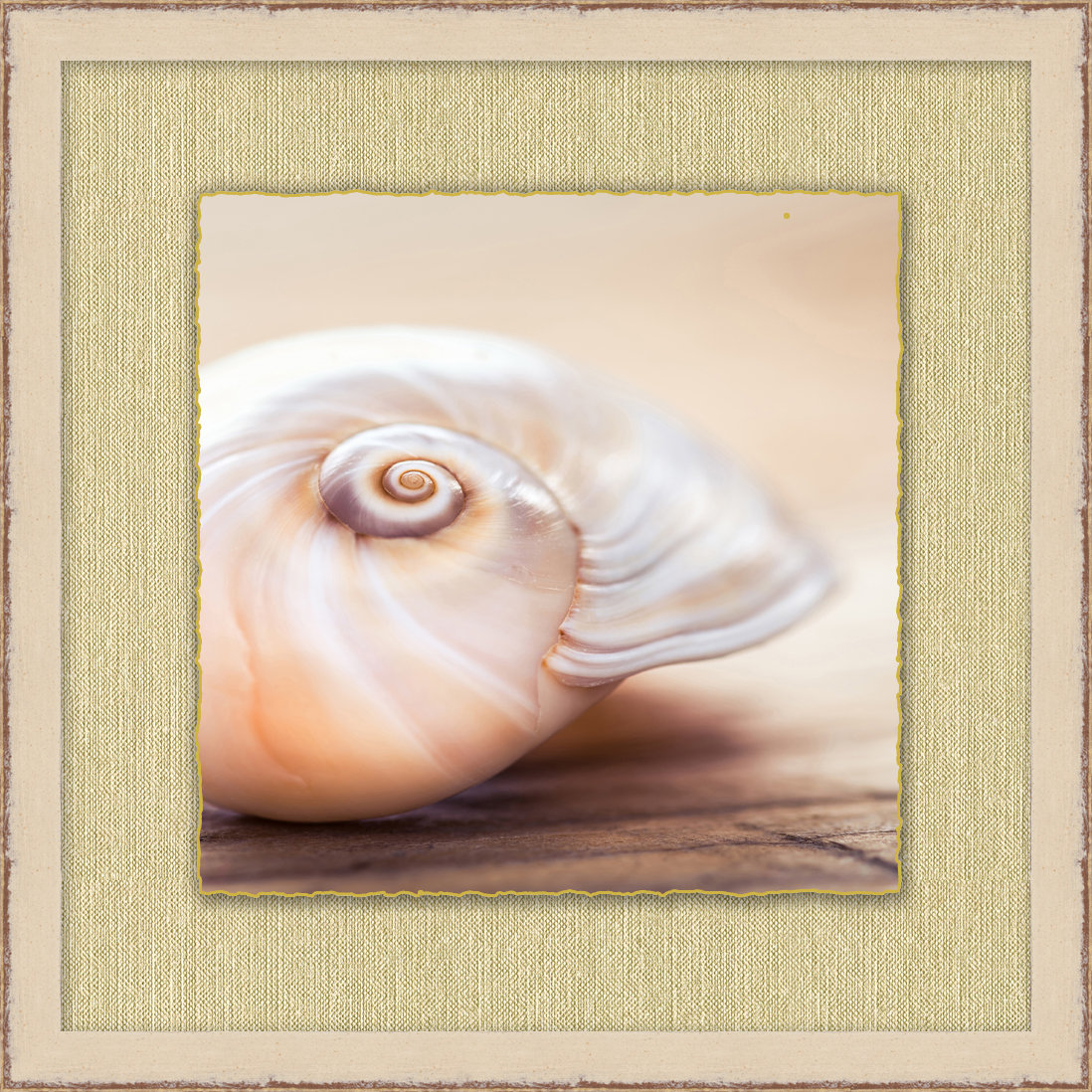 Wendover Art Group Ivory Shell Portrait - Picture Frame Photograph on ...