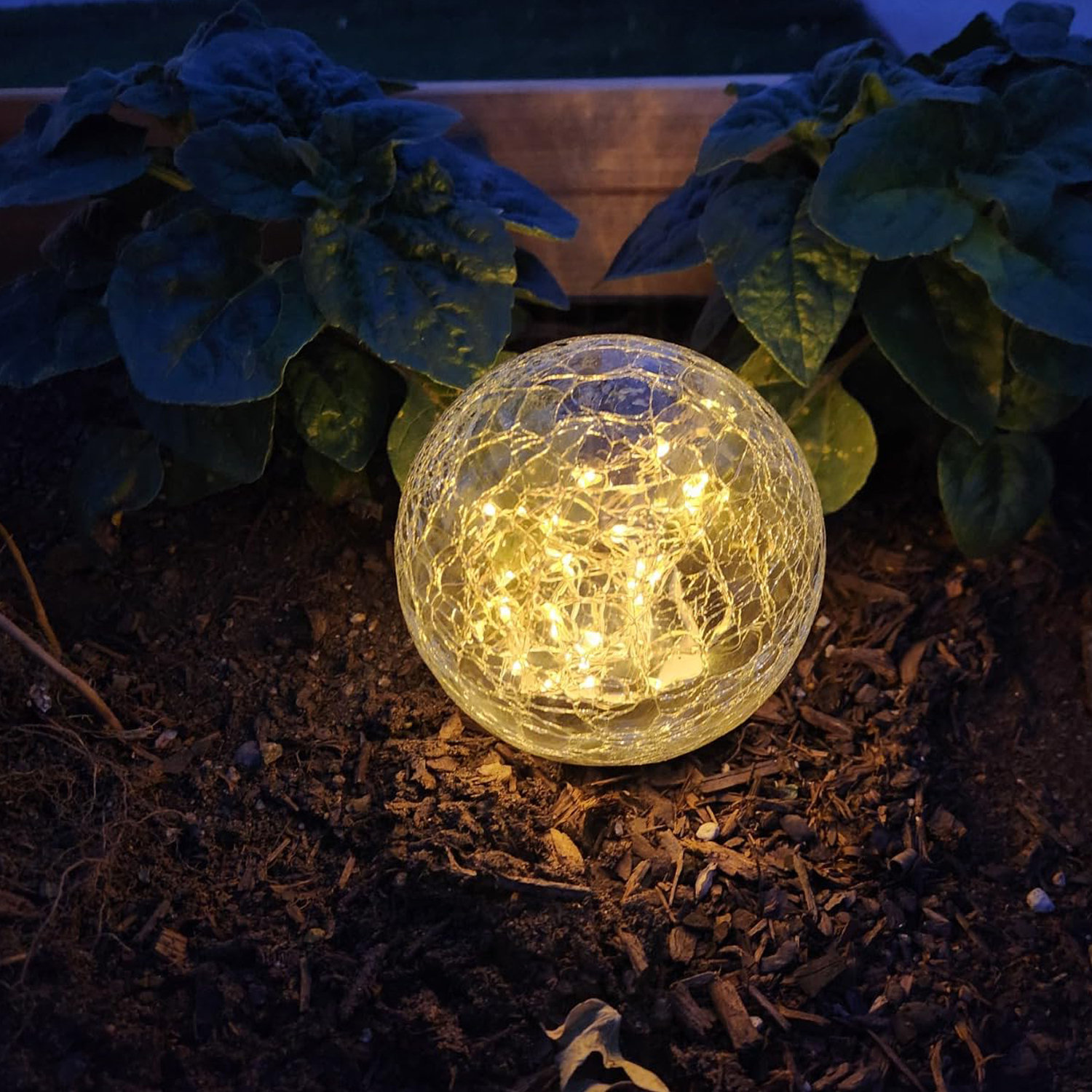 Ivy Bronx Garden Solar Ball Lights Outdoor Waterproof, 50 LED Cracked ...