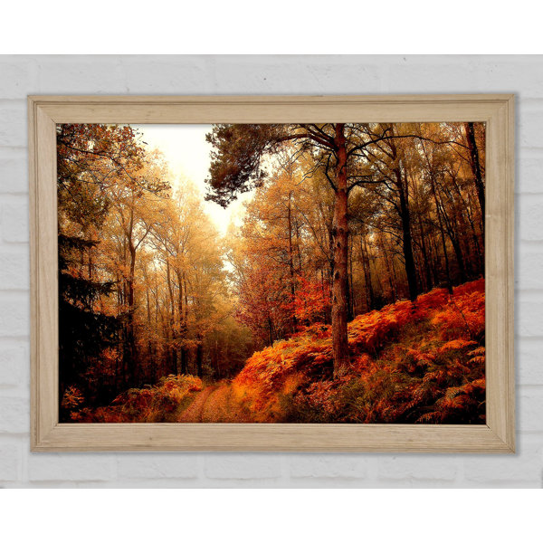 Union Rustic Mountain Path - Print | Wayfair.co.uk