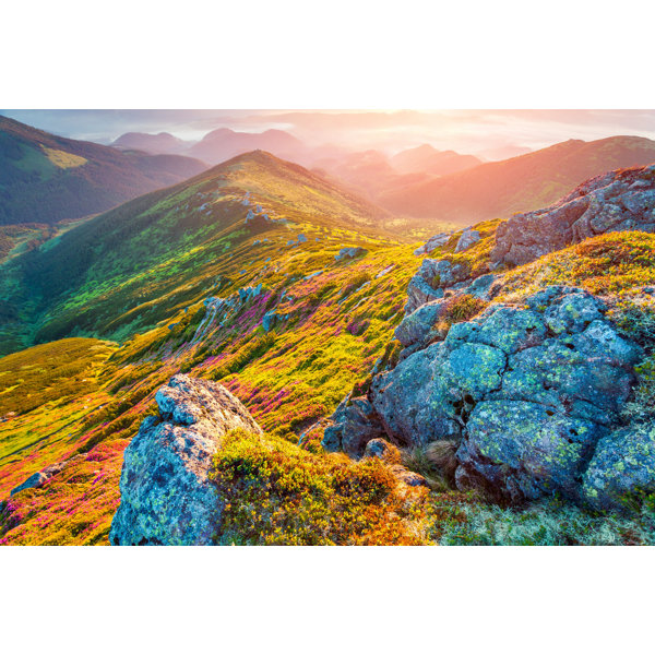 Millwood Pines Rhododendron in the Mountains by Andrew Mayovskyy ...