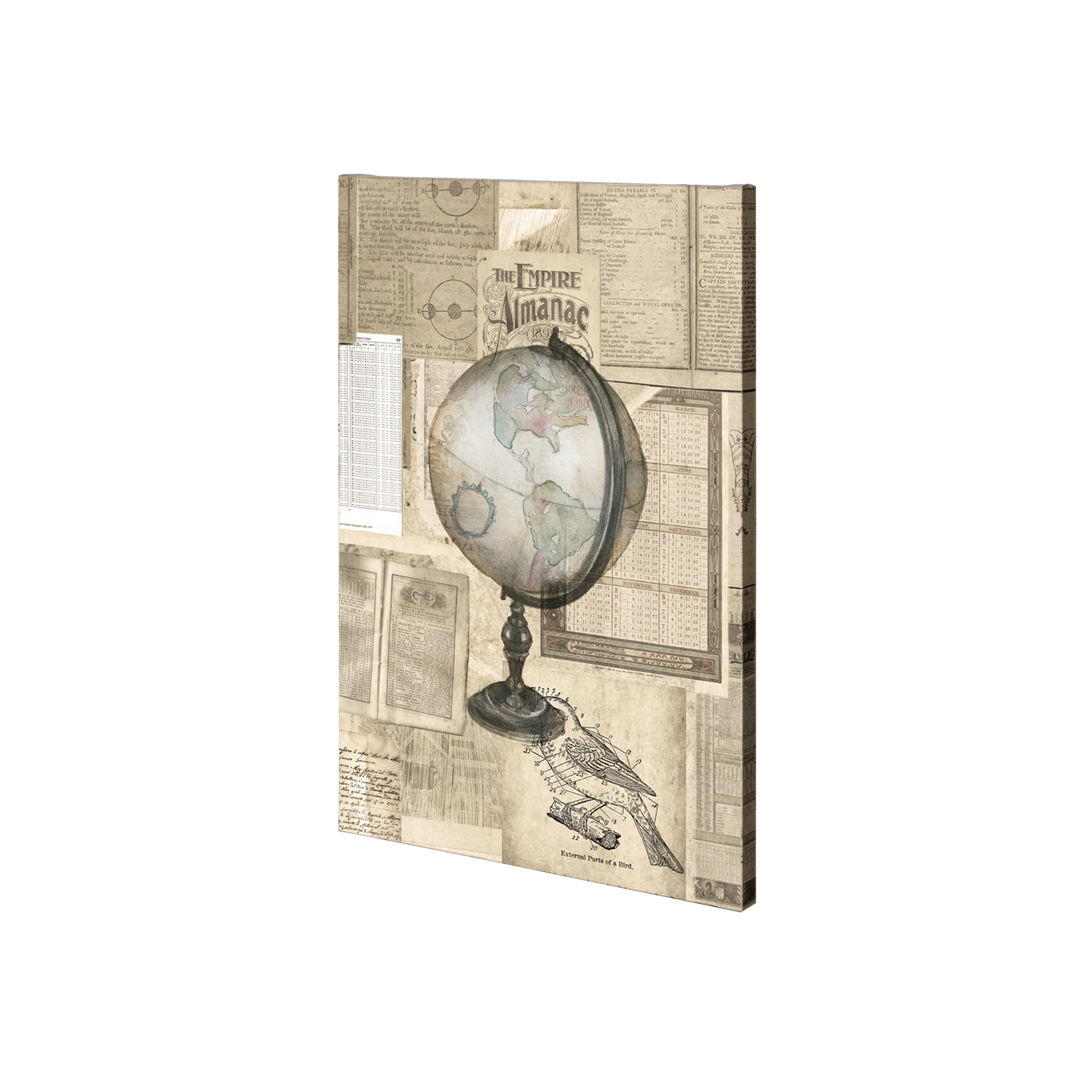 Williston Forge Academic Globe Illustration a Hand Embelished Textured ...