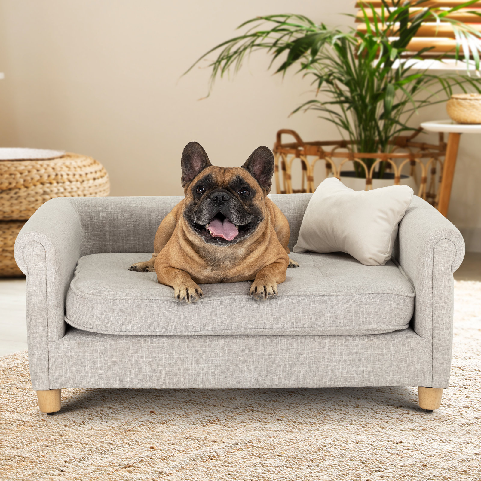Tucker Murphy Pet™ Dinel Premium Dog Sofa Bed With Bone Pillow up to 70 lbs & Reviews | Wayfair