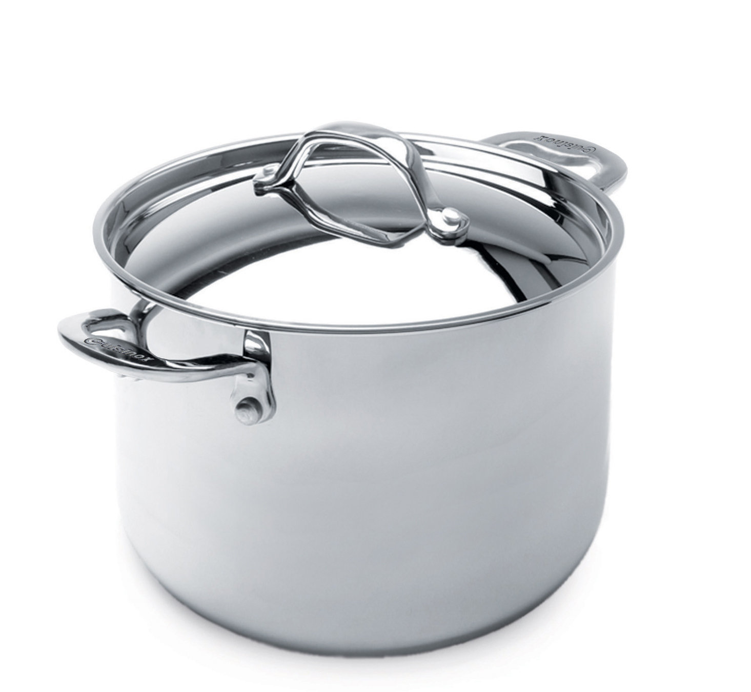 Cuisinox Super Elite Stainless Steel Stock Pot with Lid - Wayfair Canada