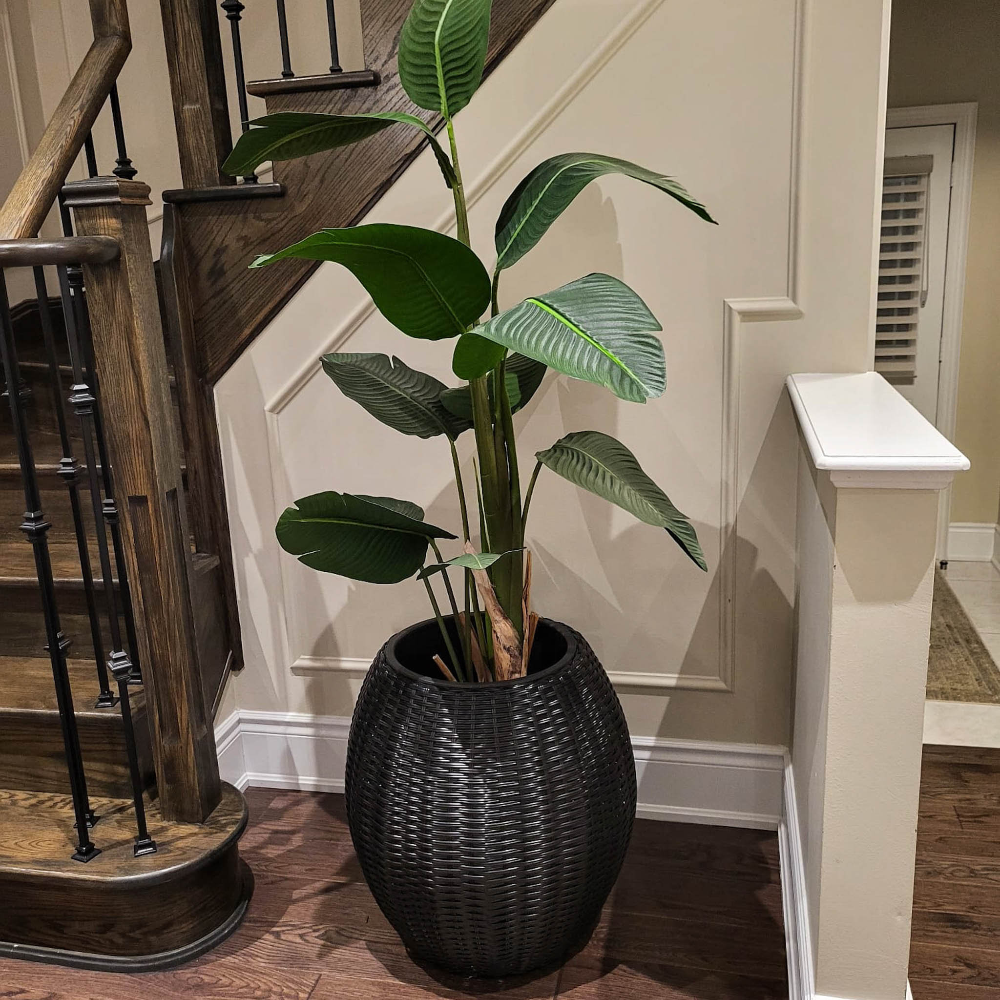 Latitude Run® Rolland Large Rattan Planter - Wayfair Canada