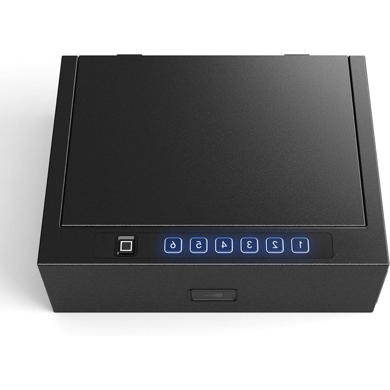 DEBLIT 16.5LB Fireproof Biometric Gun Safe for Handgun, Handgun Safe ...