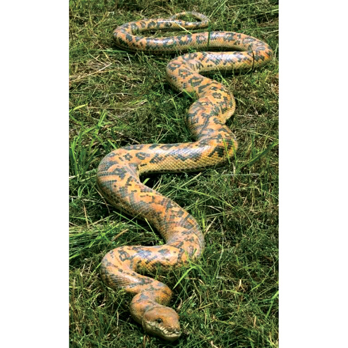 Design Toscano Giant Burmese Python Snake Statue | Wayfair