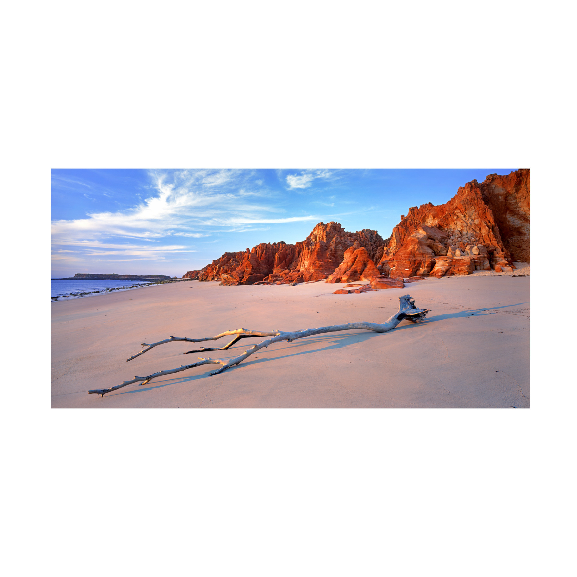 Highland Dunes Driftwood On Canvas by Wayne Bradbury Photography Canvas ...
