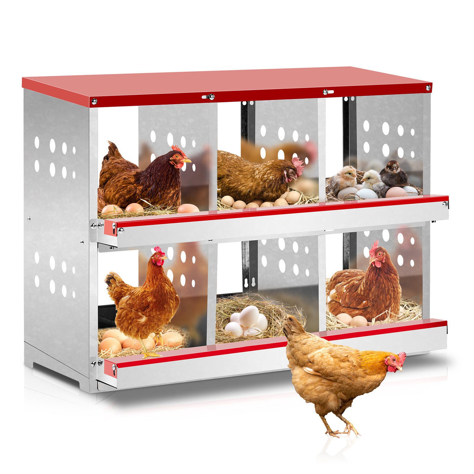 Ophelia & Co. 6 Compartment Metal Poultry Nest Box Wall Mount For ...