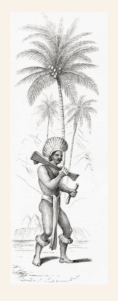 Bayou Breeze A Member Of The Carib Tribe Of Dutch Guyana South America ...