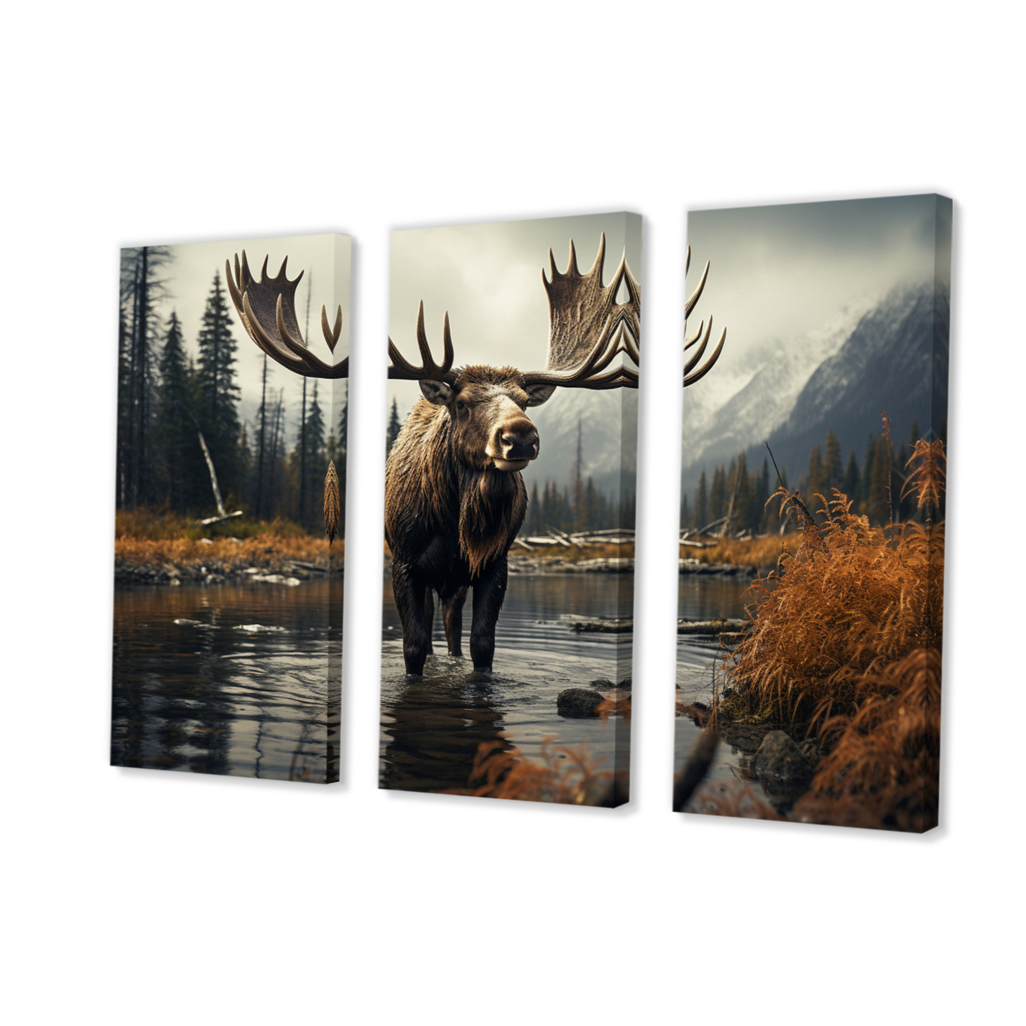 Millwood Pines Canada Majestic Moose I On Canvas 3 Pieces Print | Wayfair