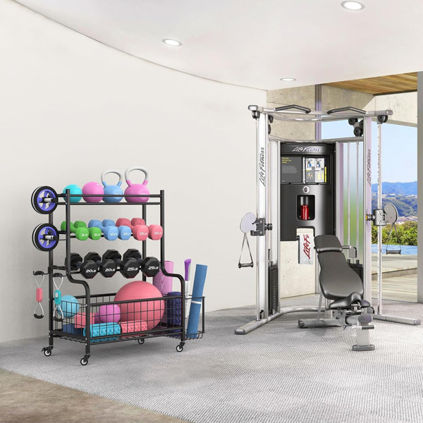 WFX Utility™ Dumbbell Rack Home Gym Weight Rack - Wayfair Canada