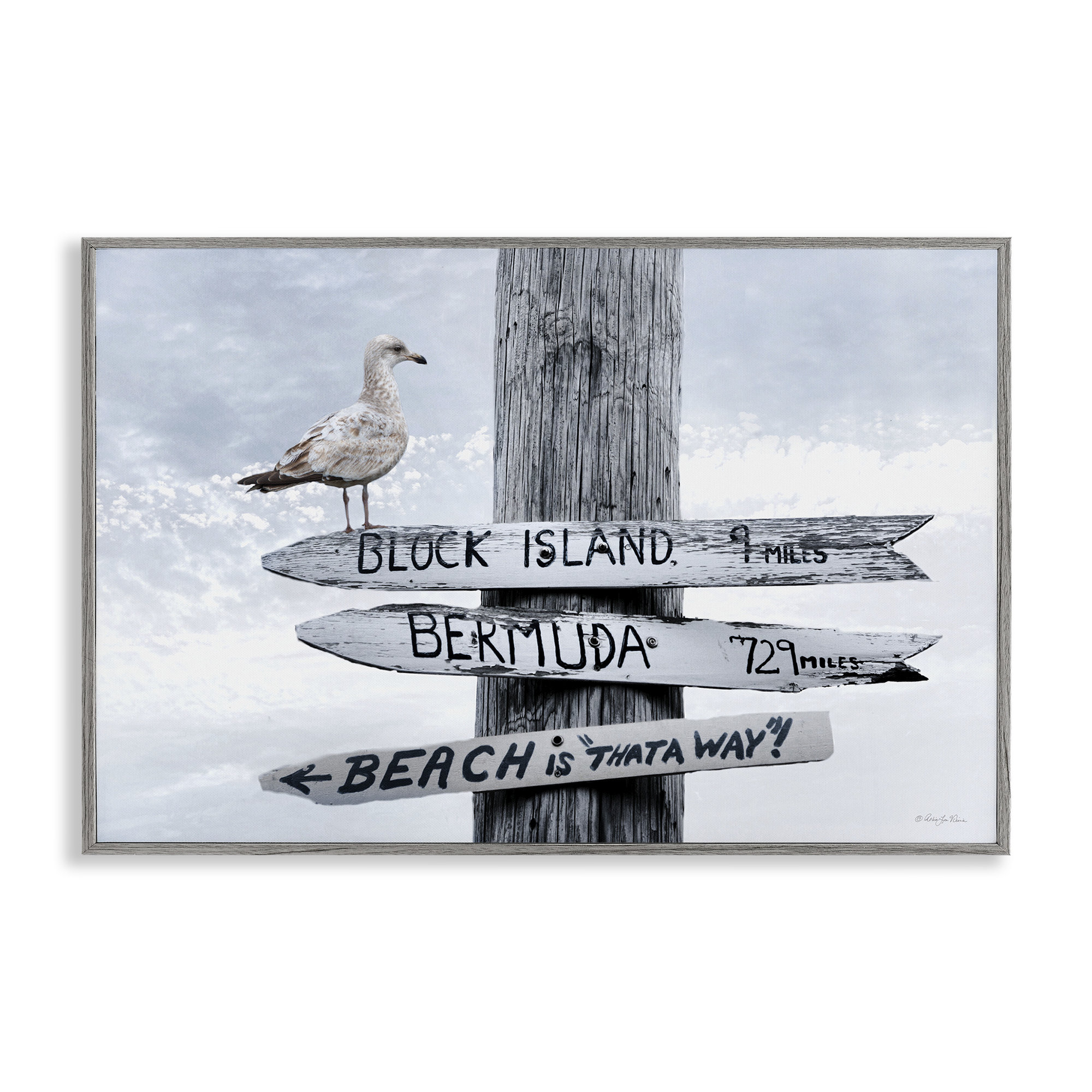 Ebern Designs Vacation Beach Signs with Seagull Framed Giclee, design ...