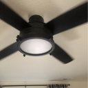 Breakwater Bay Wilkerson 52'' Ceiling Fan with LED Lights & Reviews ...