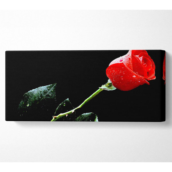 Ebern Designs Love Of A Single Red Rose - Wrapped Canvas Art Prints ...
