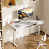 Ebern Designs Electric Standing Desk With Drawers,home Office Desk With ...