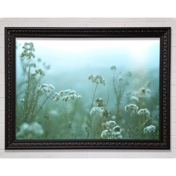 Bright Star Fragile Beauty - Single Picture Frame Art Prints | Wayfair ...