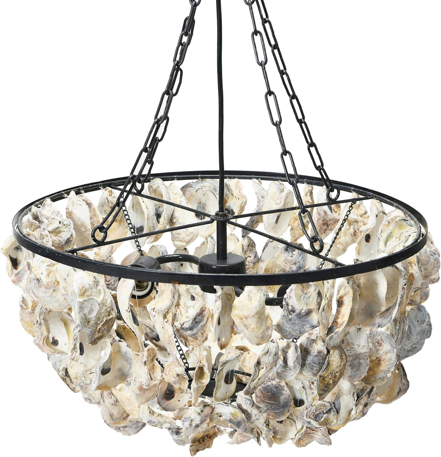 Rosecliff Heights Round Oyster Shell Chandelier With 2 Lights, Coastal ...