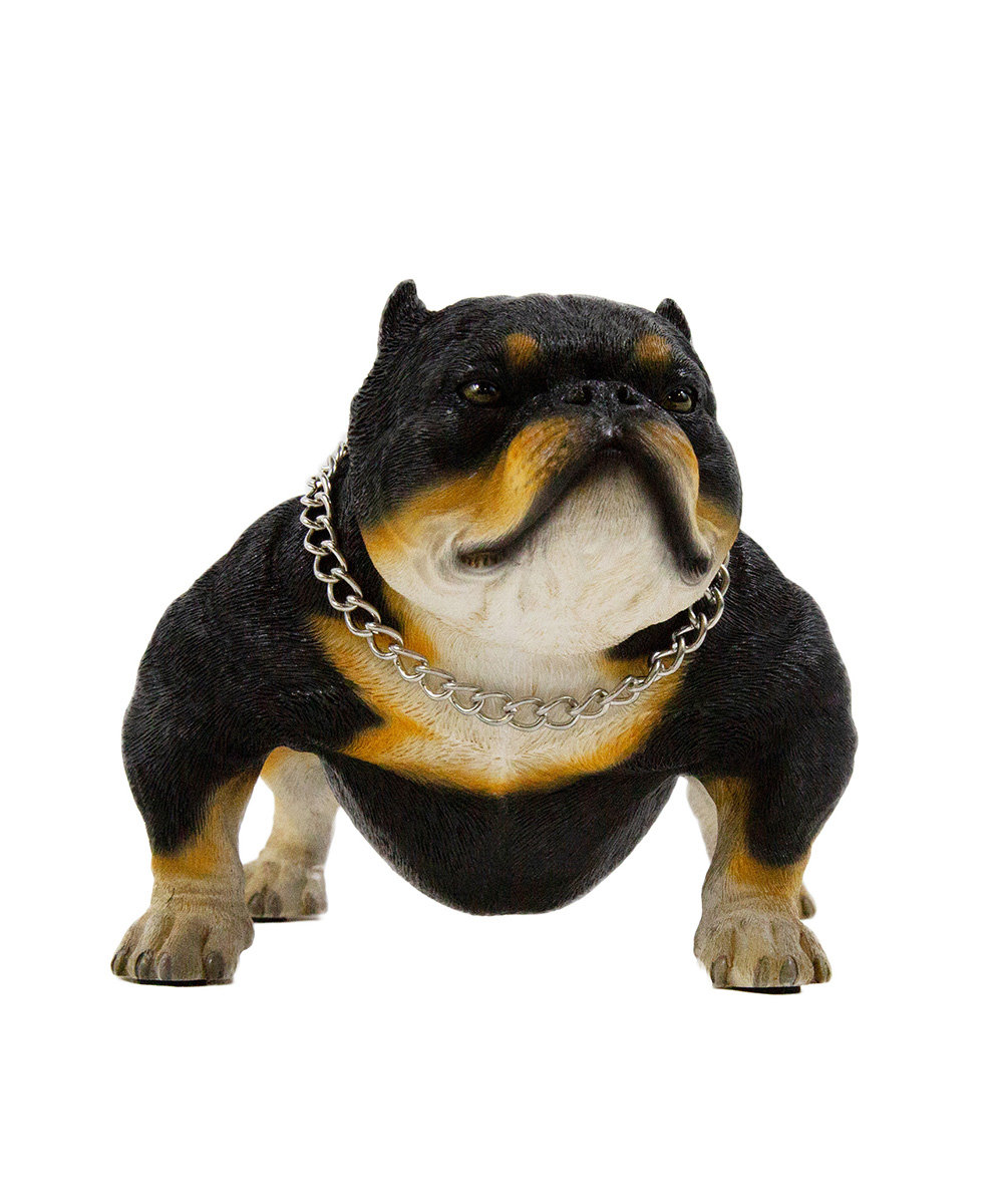 Winston Porter Stockham American Bully Exotic Statue - Wayfair Canada