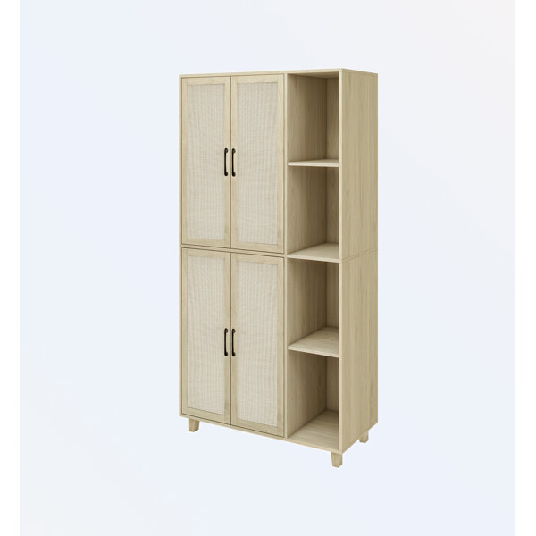 Bayou Breeze Braylah Accent Cabinet - Wayfair Canada