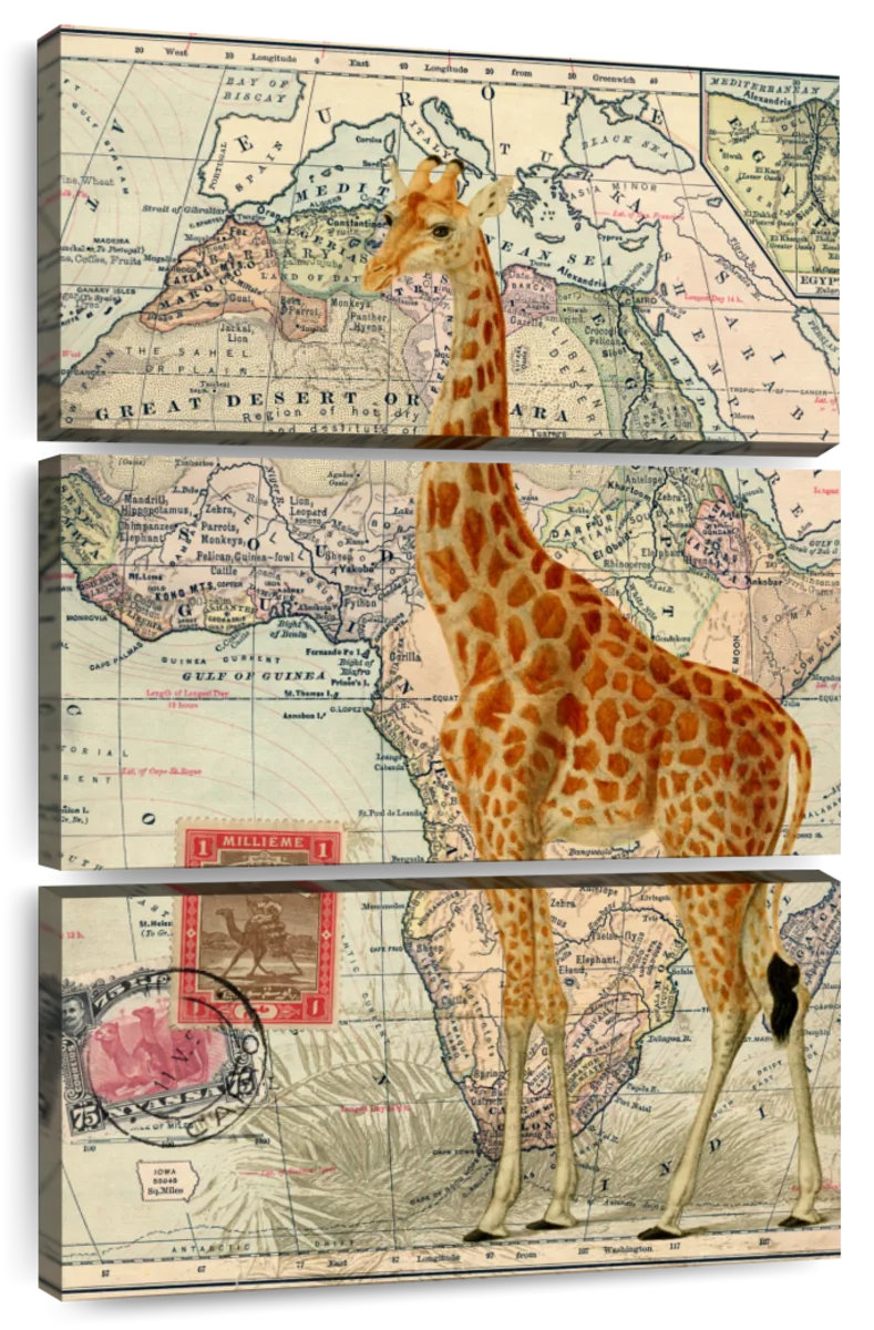 Breakwater Bay Aliaz Africa II - Wayfair Canada