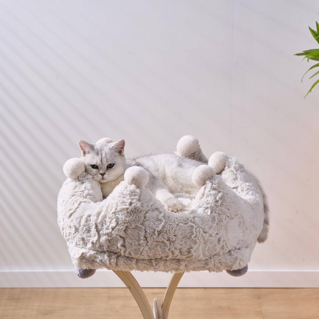 PetPals Rose Crown Cat Bed & Reviews | Wayfair