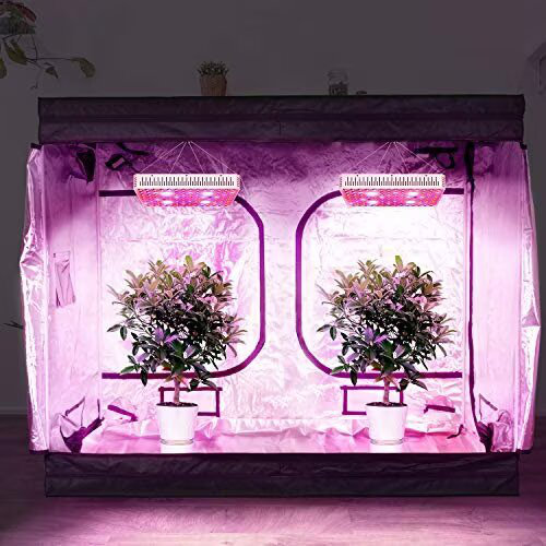iPower 380W LED Grow Light for Indoor Plants, Full Spectrum with CREE ...