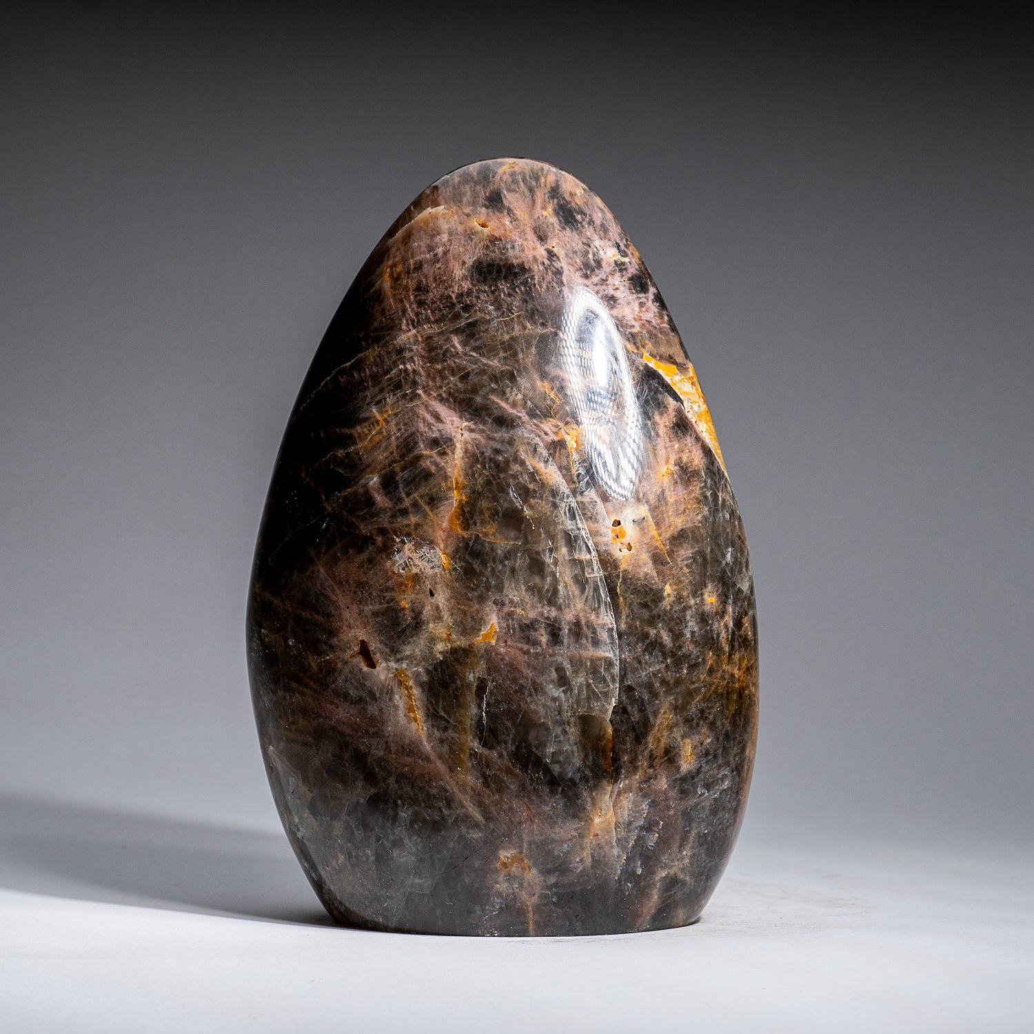 Astro Gallery of Gems Genuine Polished Black Moonstone Freeform from Madagascar (4.3 Lbs ...