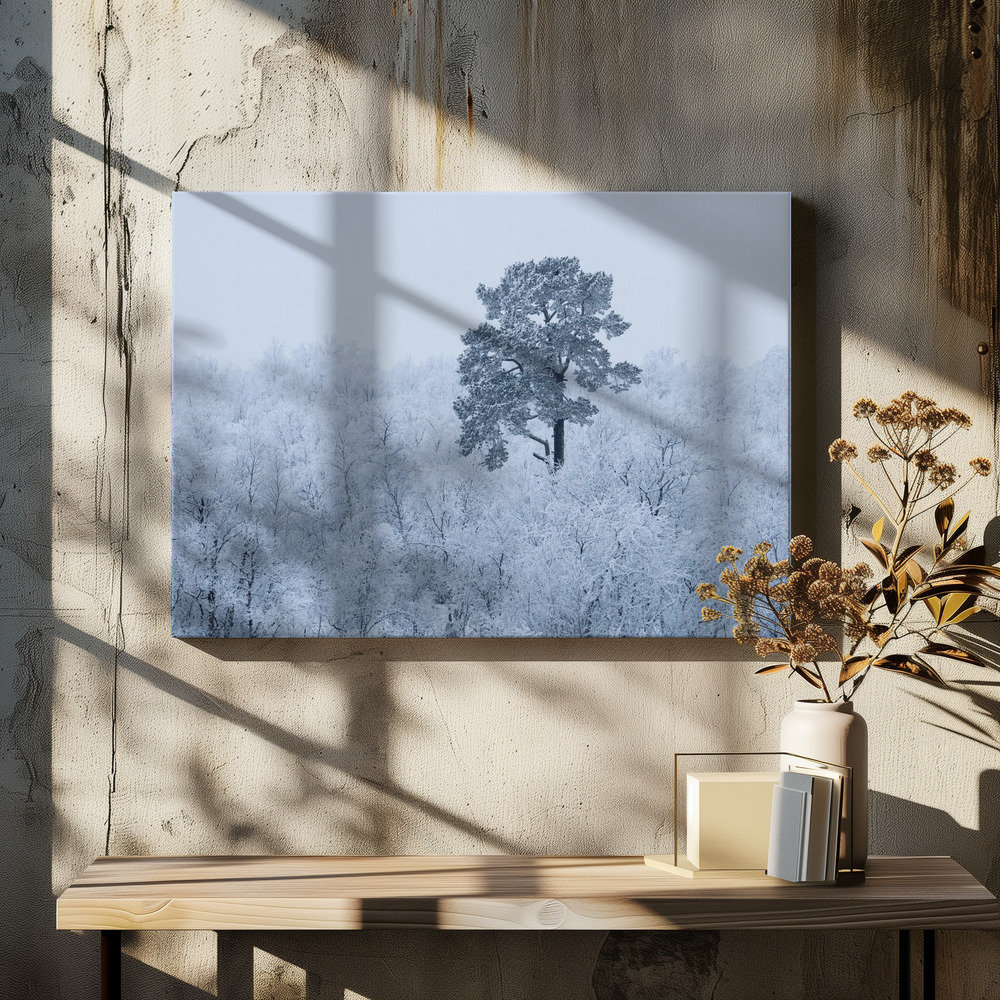 Union Rustic First snow Canvas Print | Wayfair.co.uk