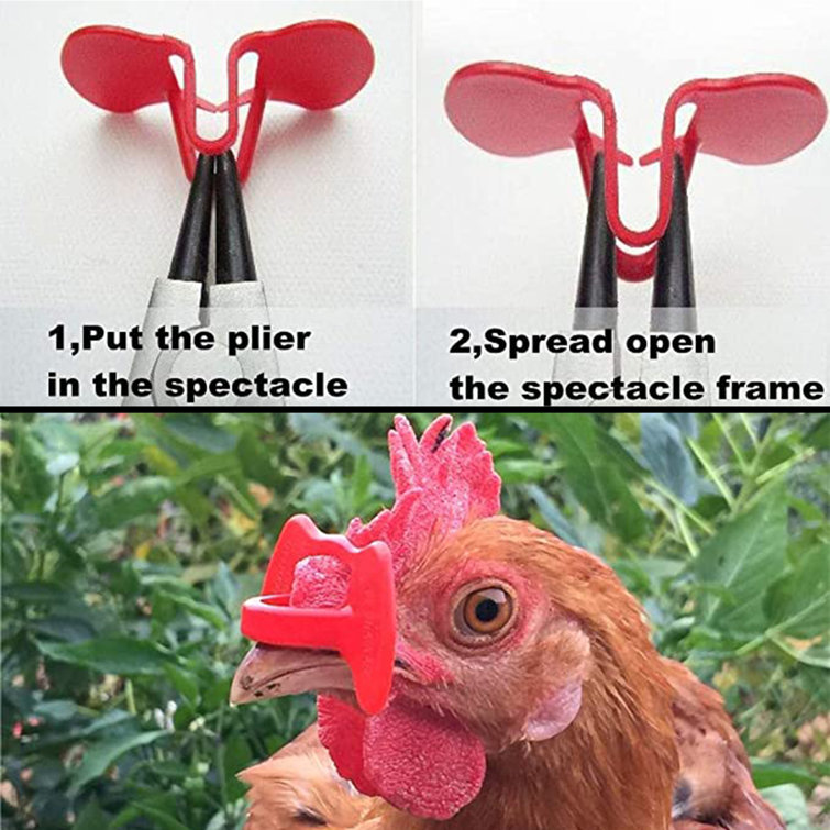 Tucker Murphy Pet™ Chicken Peepers Eye Glasses Poultry Blinders ...