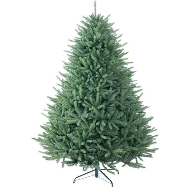 The Holiday Aisle® Extra Full Green Fir Christmas Tree & Reviews | Wayfair