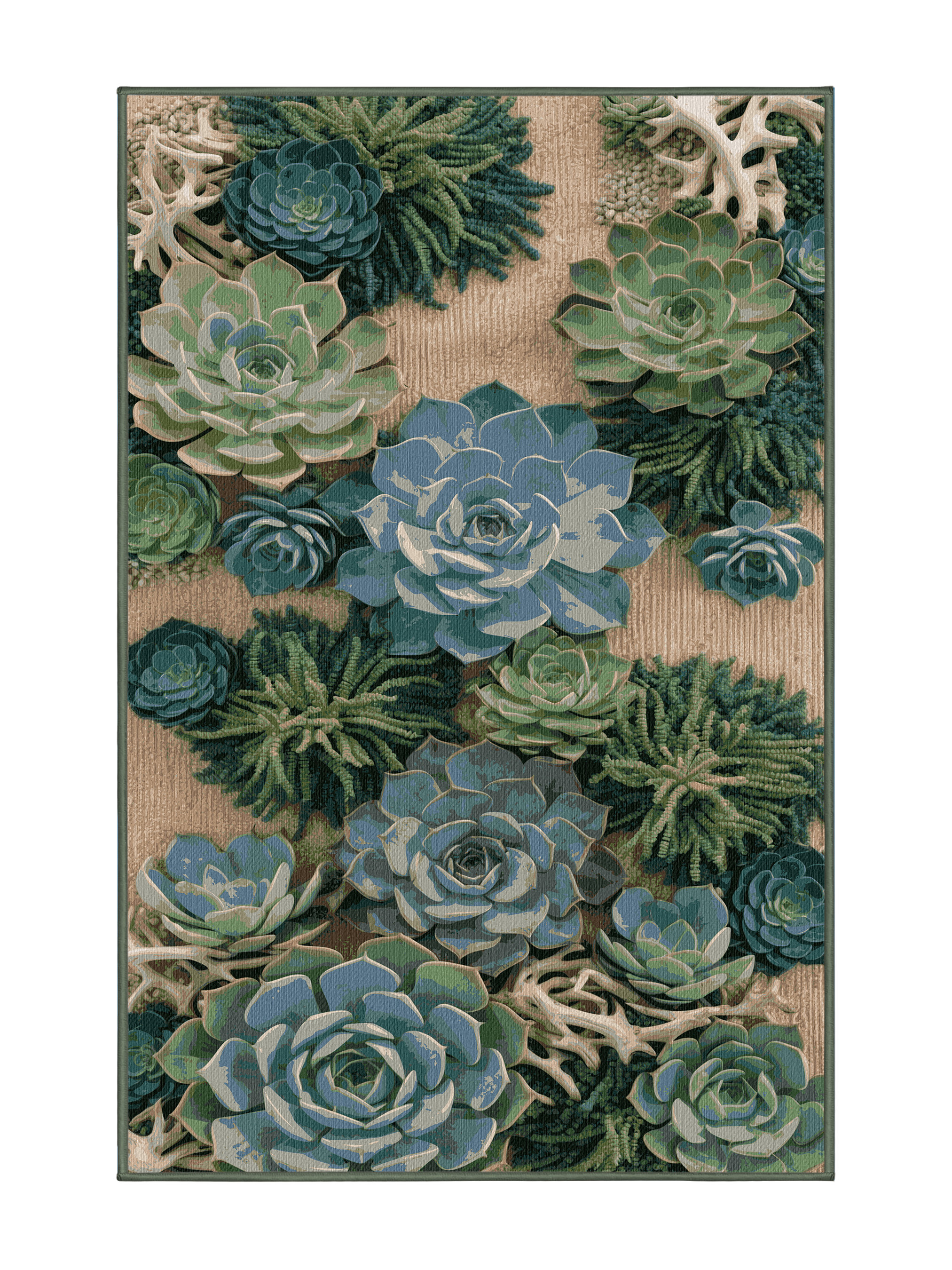 Rosecliff Heights Washable Seaside Succulents Coastal Area Rug | Wayfair