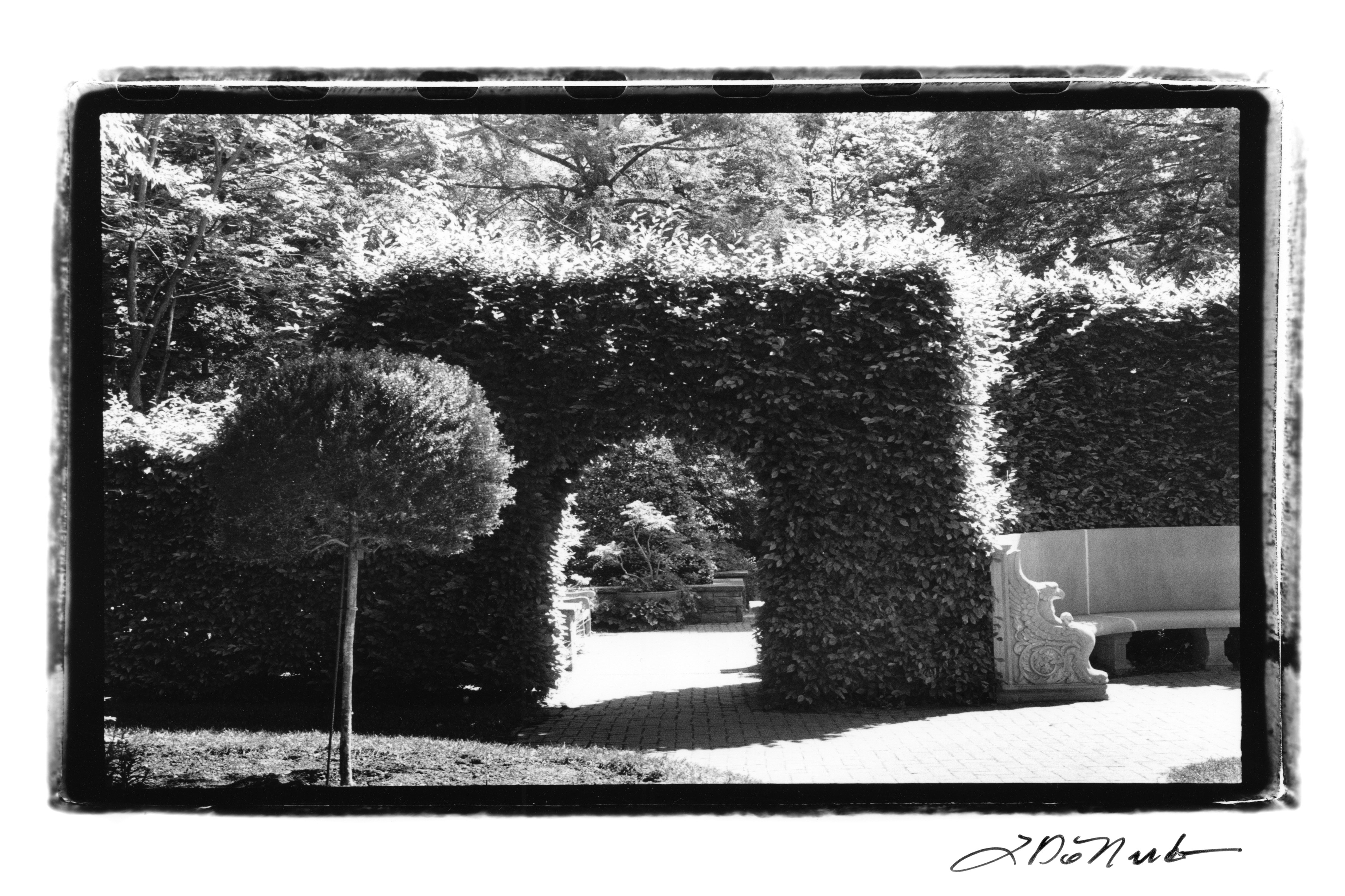 Rosalind Wheeler Garden Hideaway III by Laura DeNardo - Wrapped Canvas ...