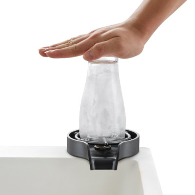 VEVOR Glass Rinser for Kitchen Sink | Wayfair