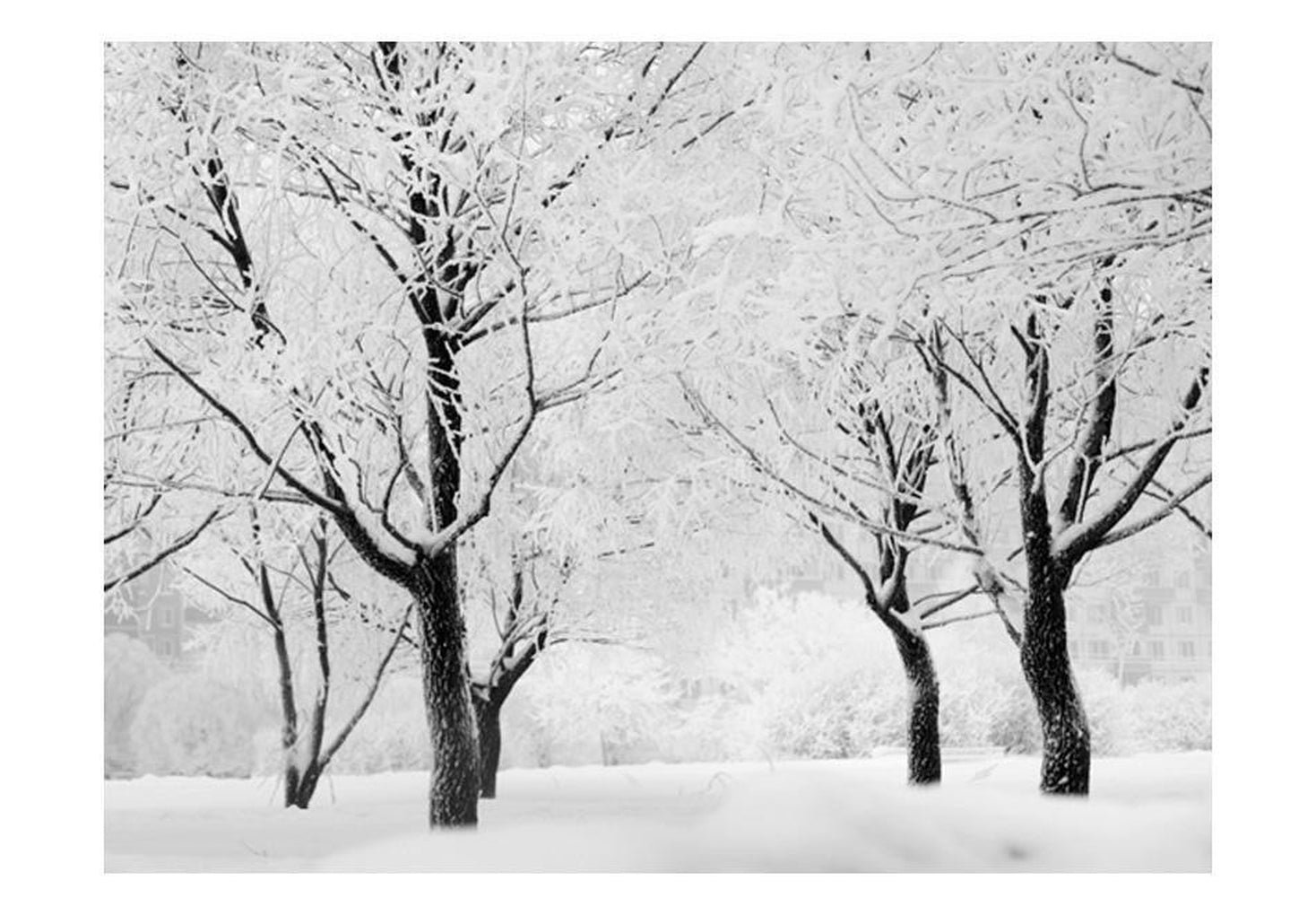 Loon Peak® Deibel Trees - Winter Landscape Wall Mural | Wayfair
