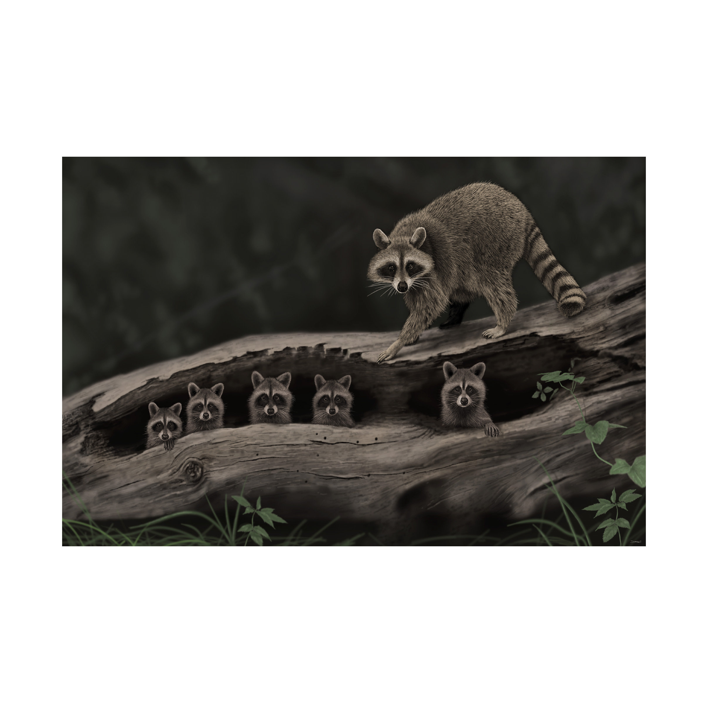 Winston Porter Gordon Semmens Driftwood Bandits On Canvas Print | Wayfair
