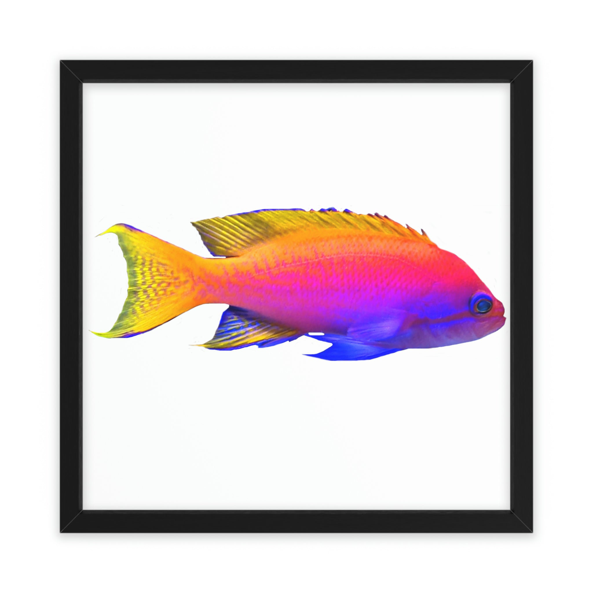 East Urban Home Colorful Fish - Picture Frame Illustration | Wayfair