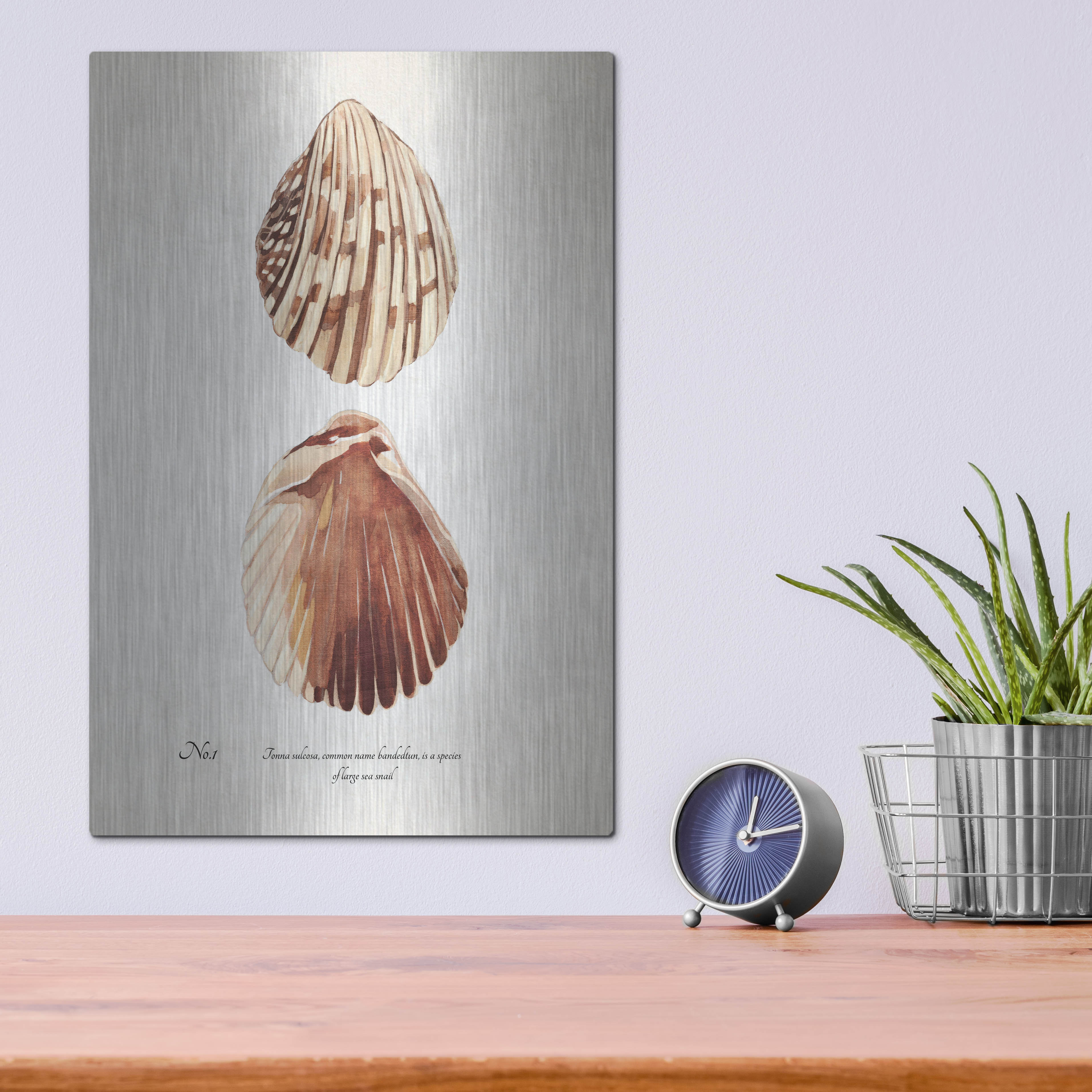 Beachcrest Home™ Sienna Shell Collector 1' by Annie Warren Metal Wall ...