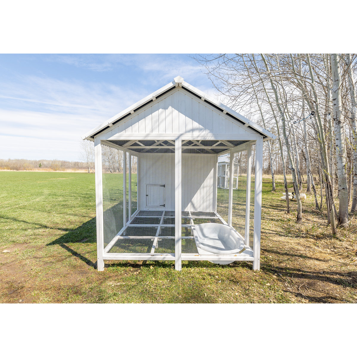 Zylina Modern Duck Barn & Reviews | Wayfair