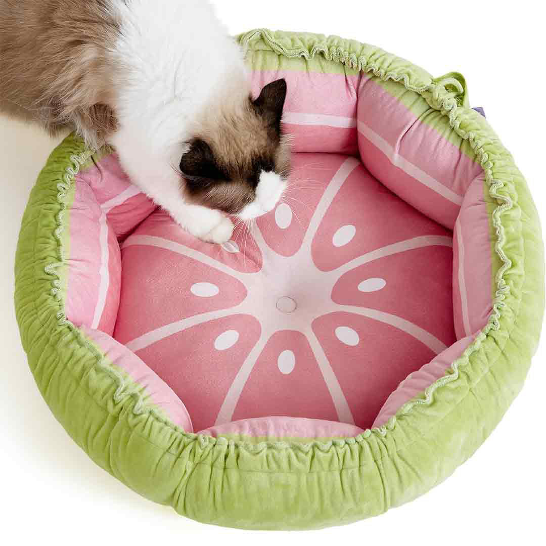 Archie & Oscar™ Cat Beds For Indoor Cats - Washable Cute Cat Beds With ...