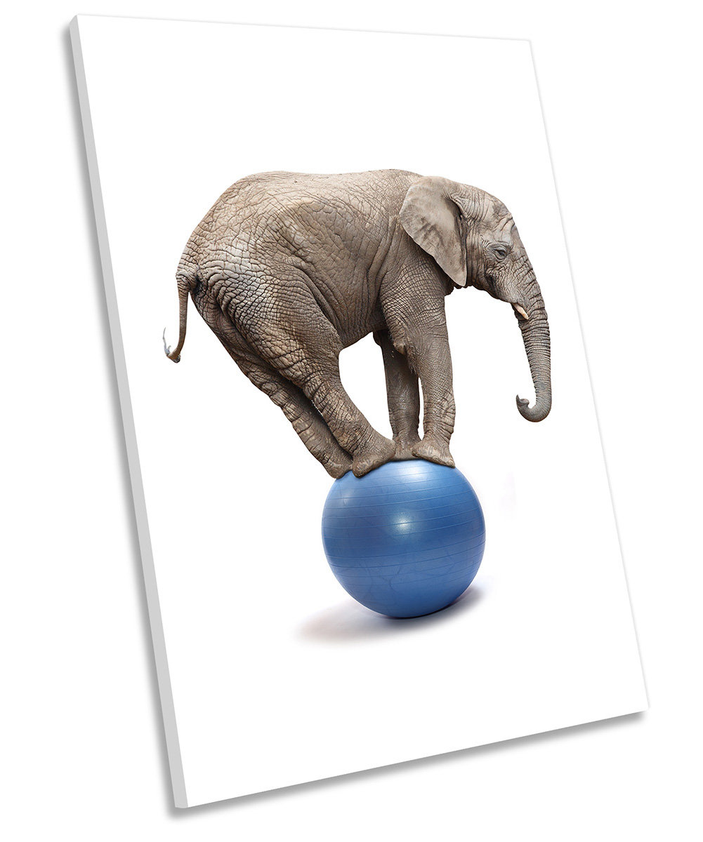 Happy Larry Elephant Balancing Ball | Wayfair.co.uk