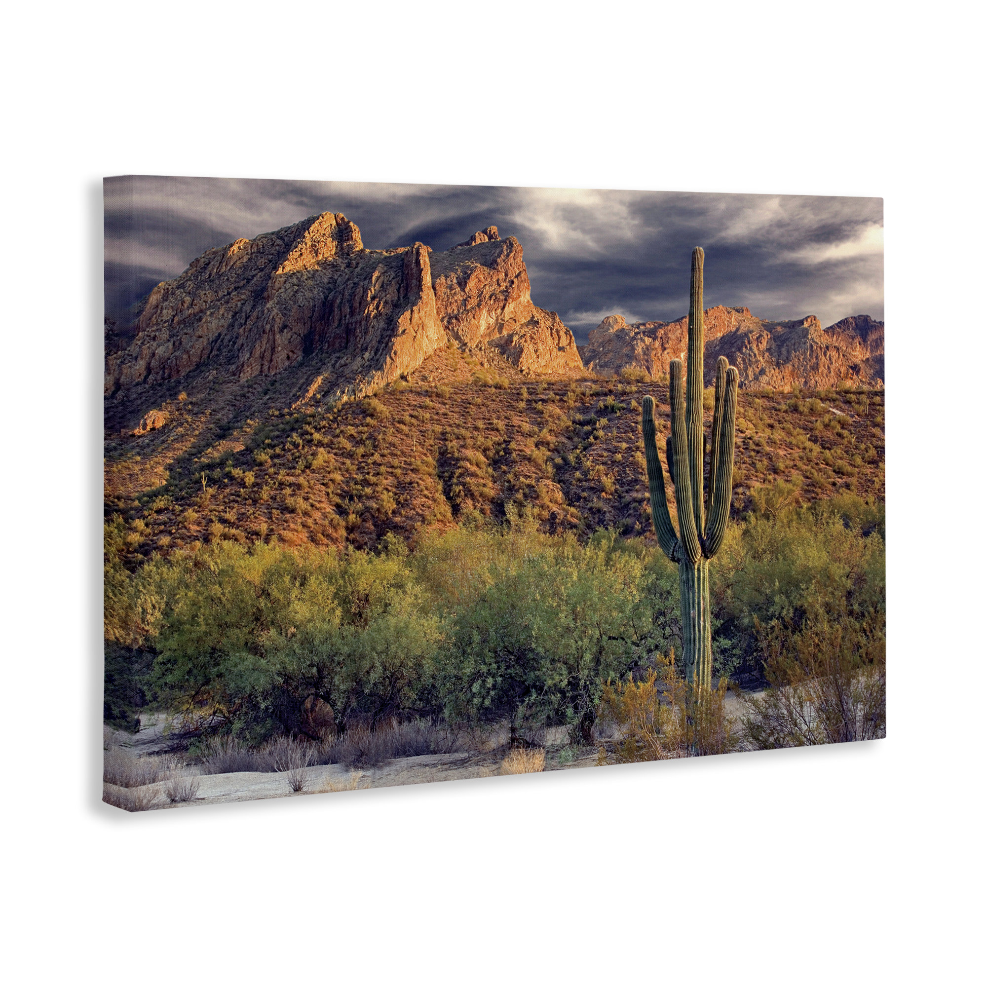 Dakota Fields Tall And Strong Cactus View Canvas, design by Mike Jones ...