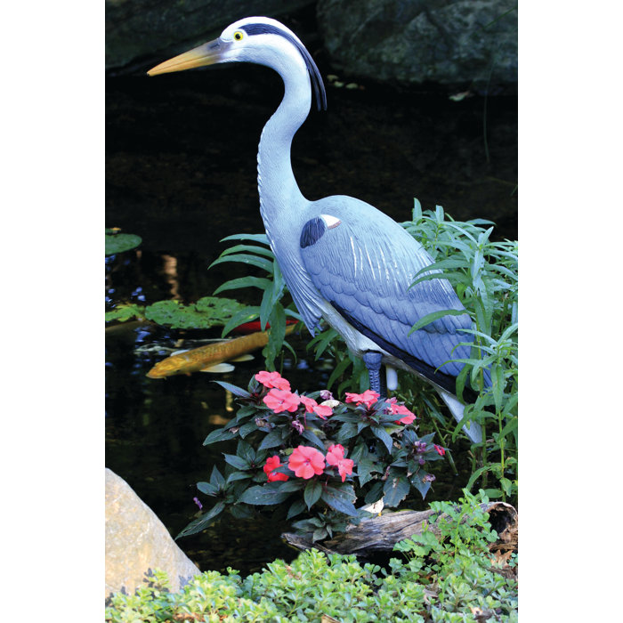 Rosecliff Heights Emery Bird Animals Polymer Garden Statue & Reviews ...