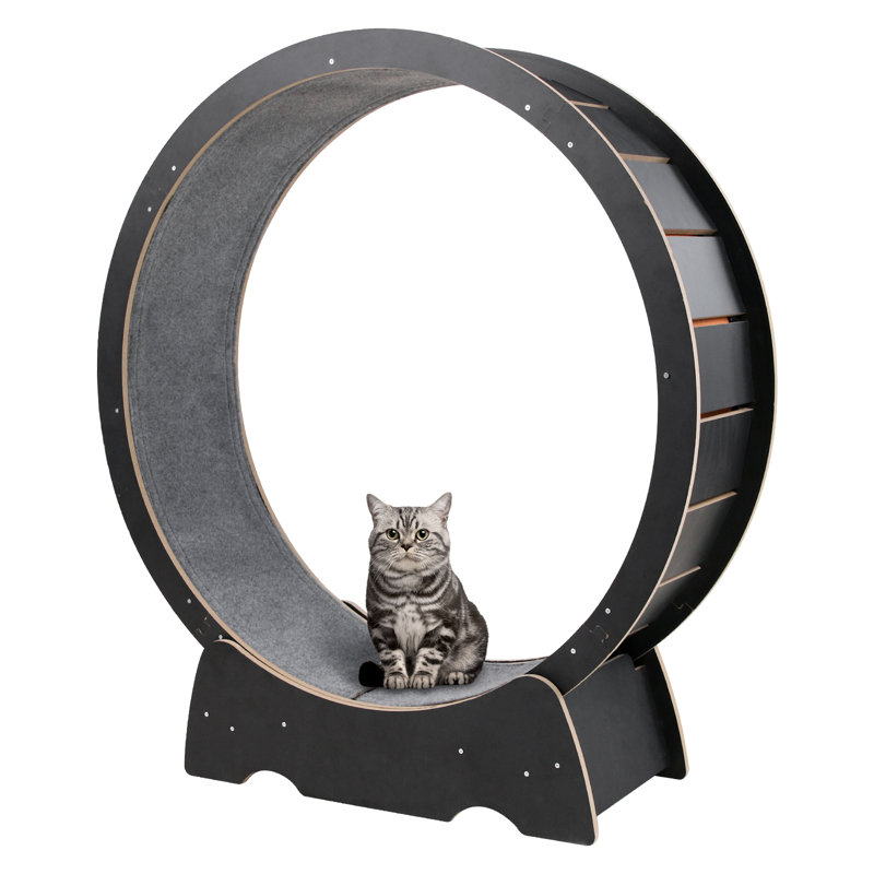 Tucker Murphy Pet™ Denora 45'' Large Cat Running Wheel Treadmill ...