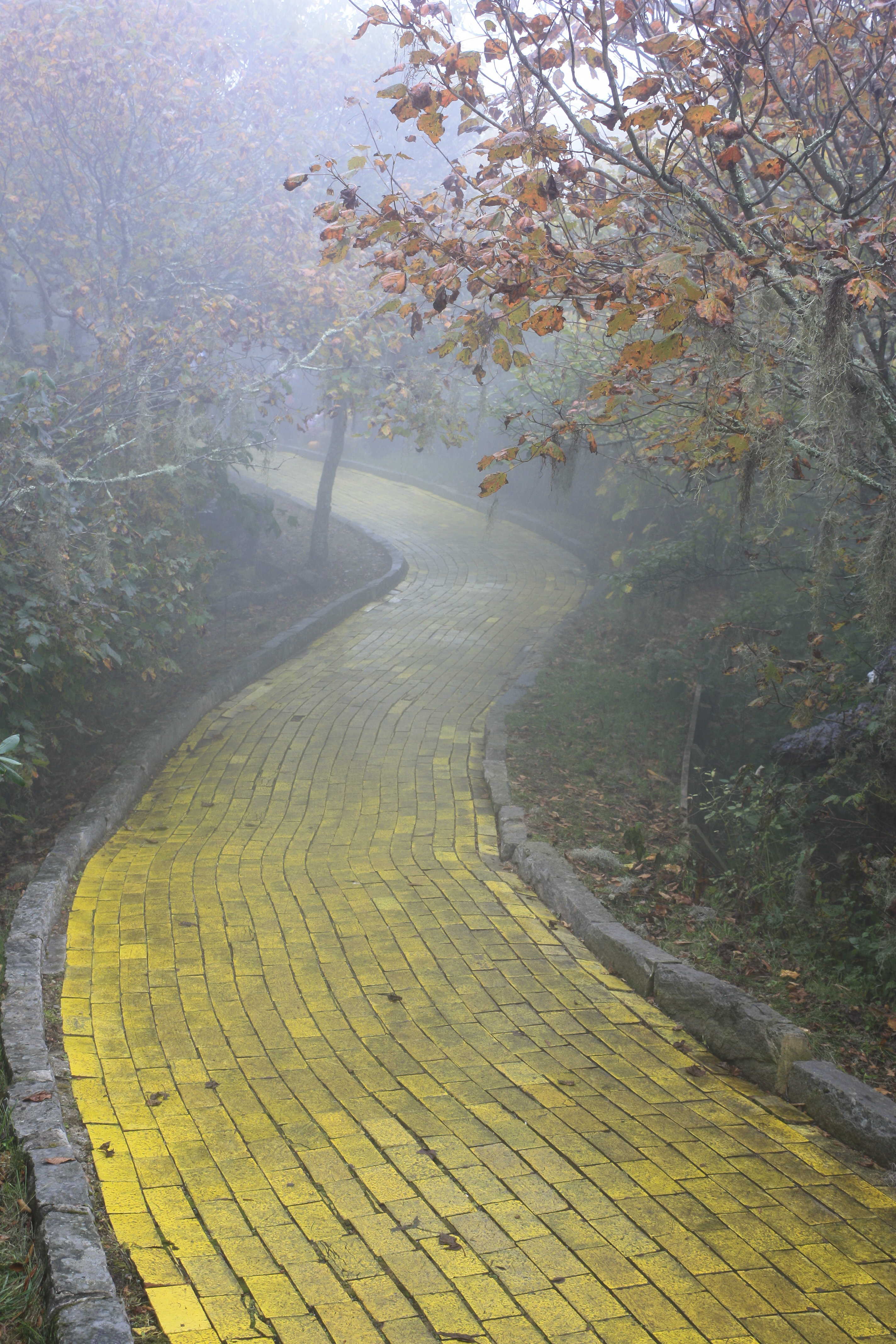 Millwood Pines Angret Yellow Brick Road On Canvas by Cindygoff ...